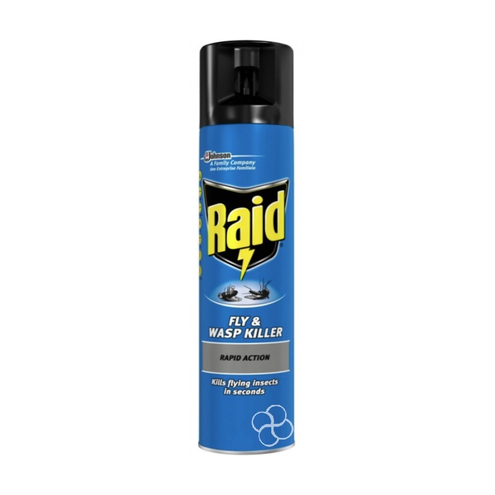 Raid Fly & Wasp Killer Spray 300ml | Same Day Grocery Delivery - Lambeth