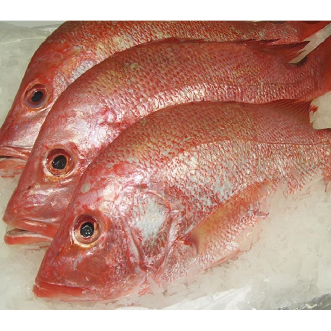 Box of Snappers 1 box | Same Day Grocery Delivery - Lambeth